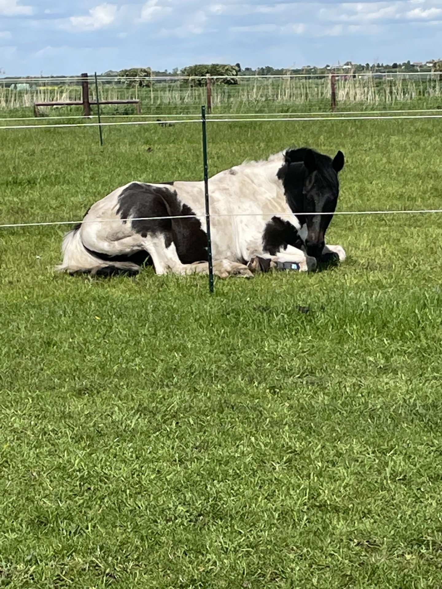 Oak Farm Livery - LiveryList