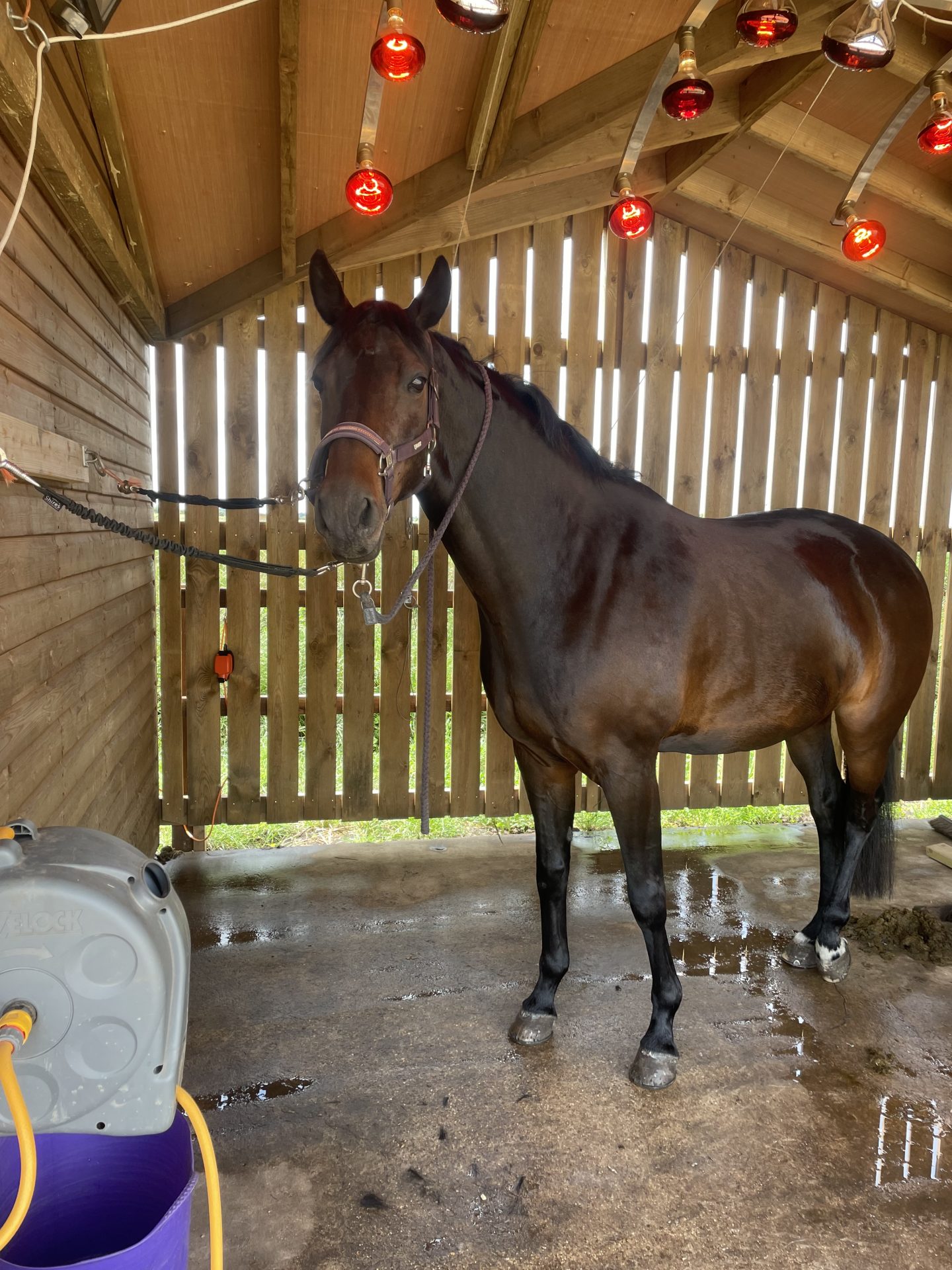 Oak Farm Livery - LiveryList