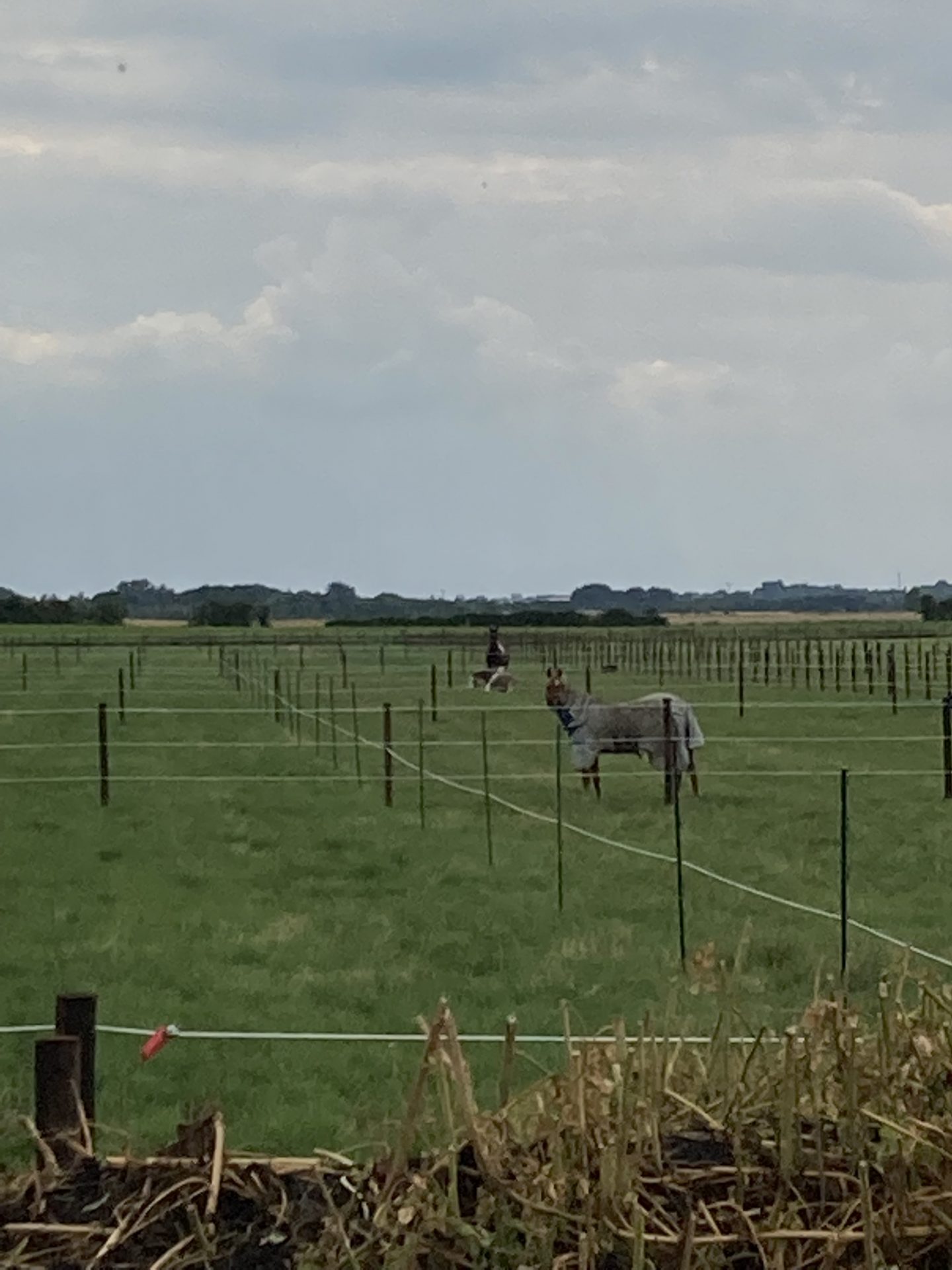 Oak Farm Livery - LiveryList