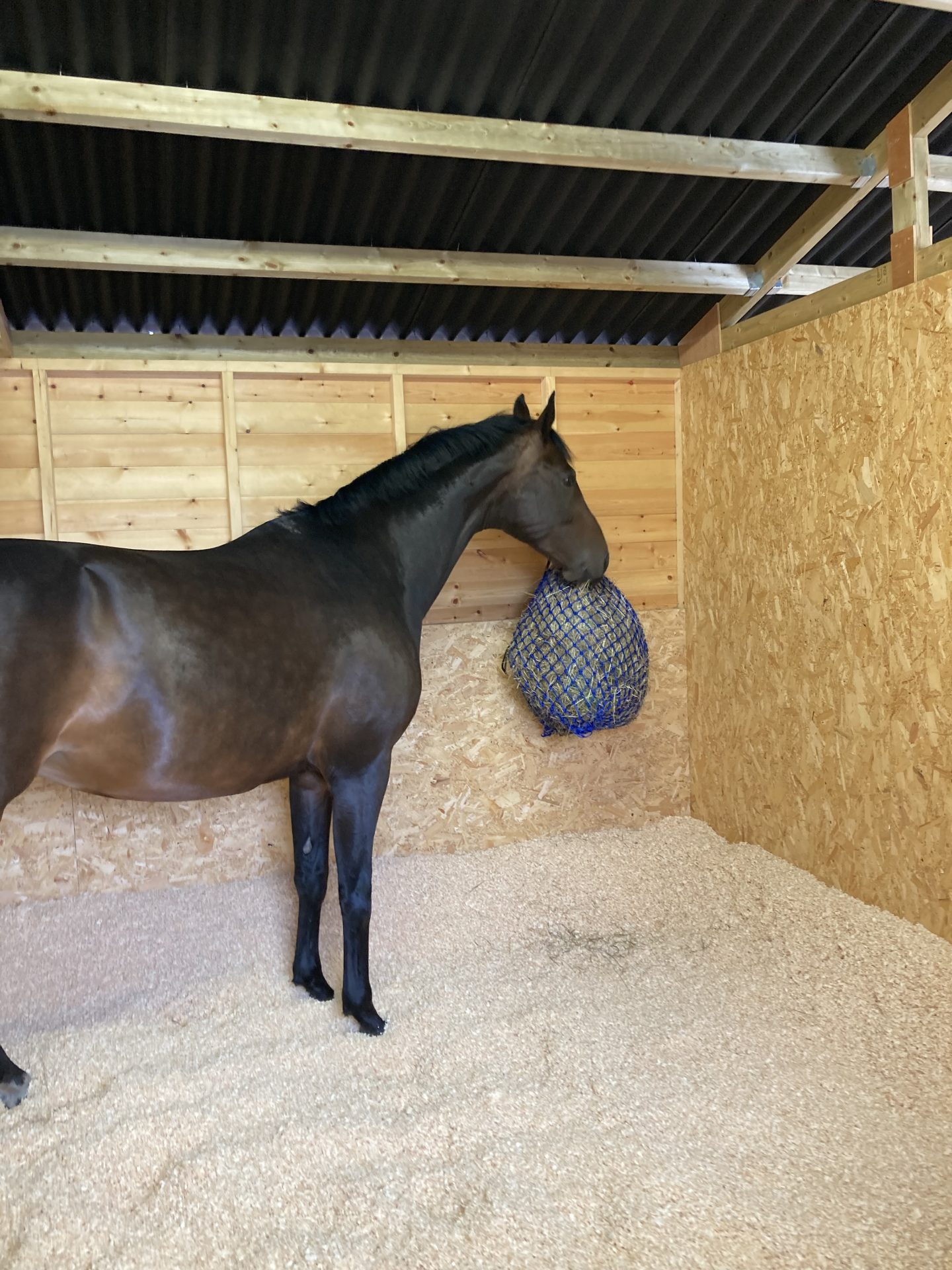 Oak Farm Livery - LiveryList