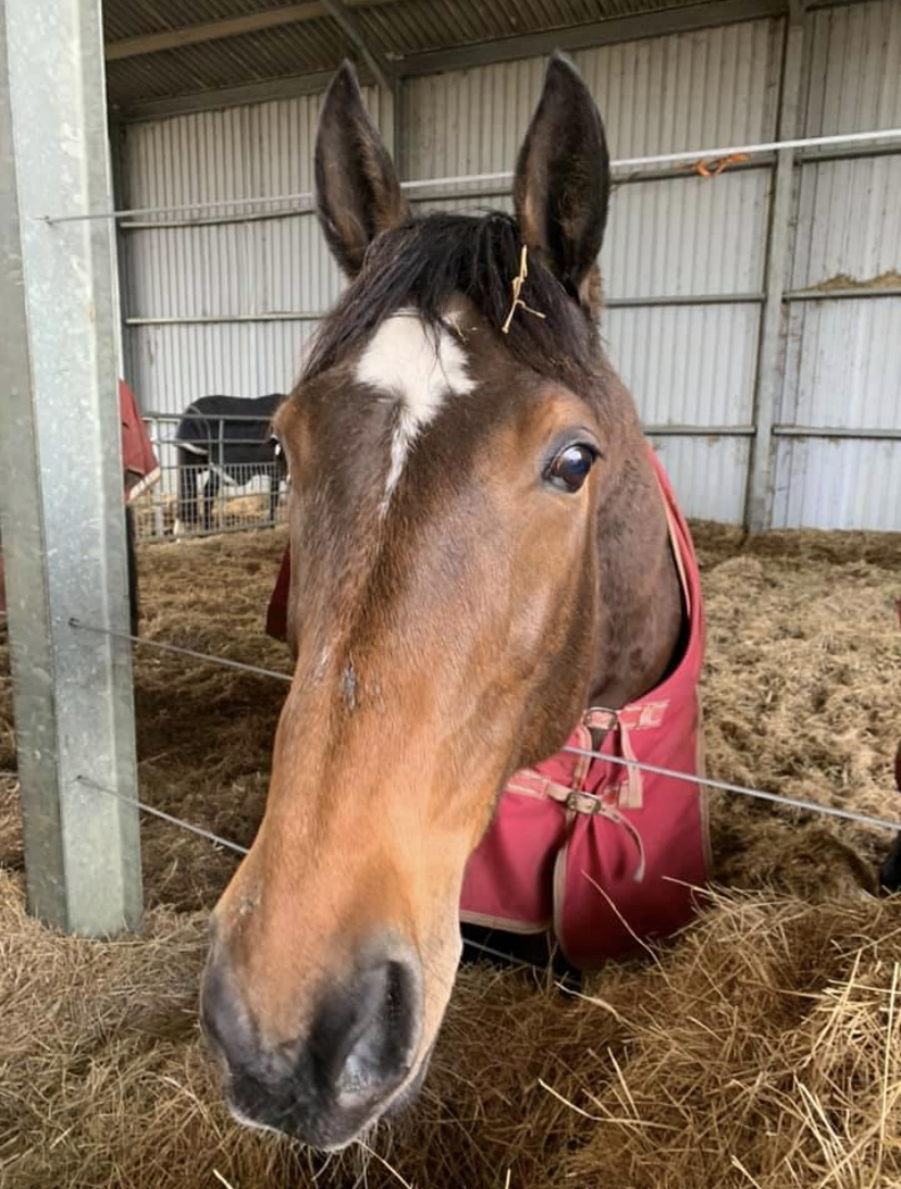 Oxford Retirement Livery - LiveryList