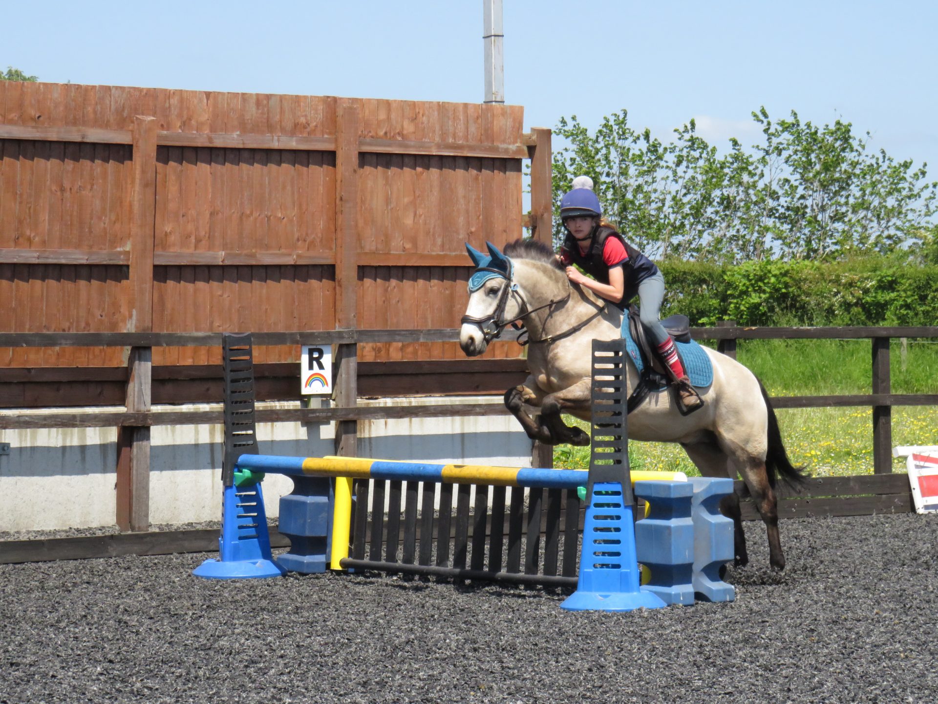 Pevlings Farm Riding & Livery Stables - LiveryList