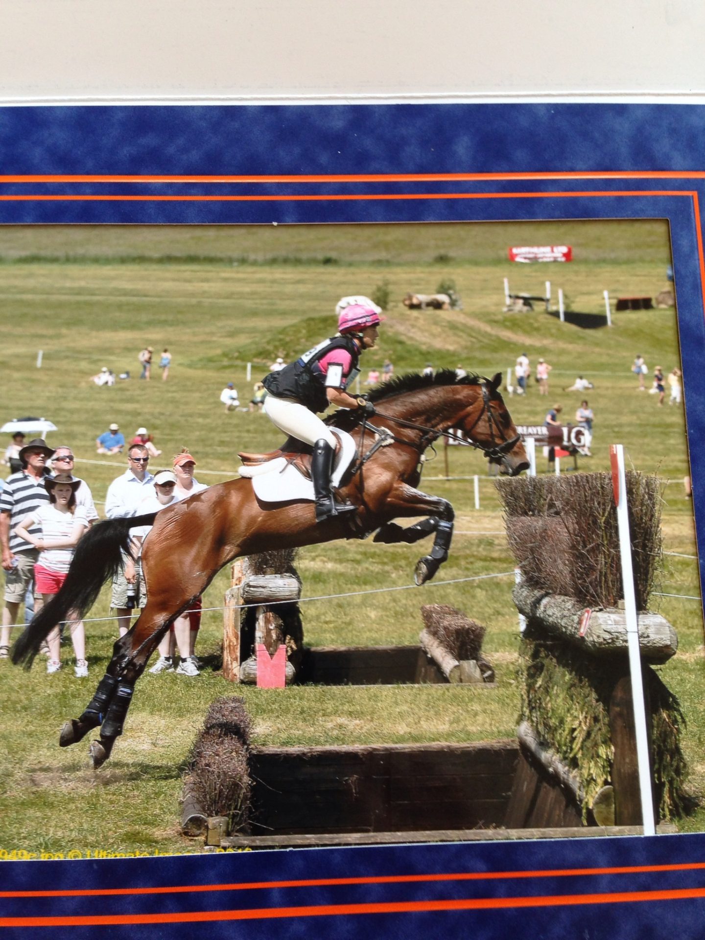 Red Lion Farm - LiveryList