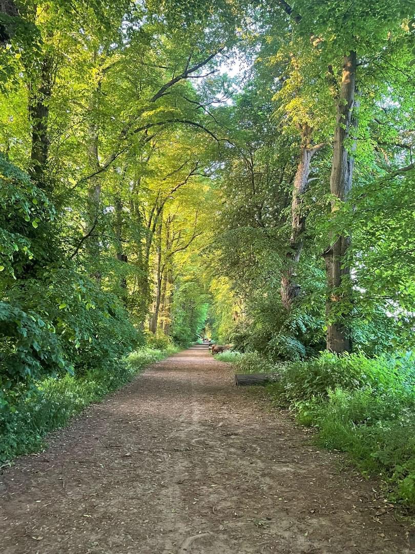 Shotover Estate Stables - LiveryList