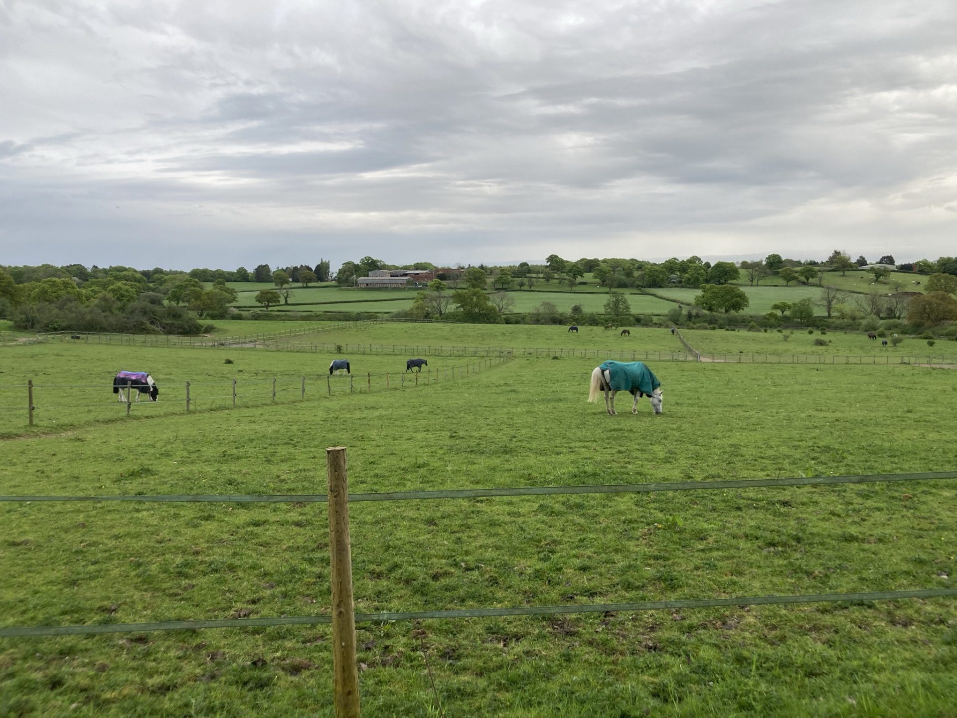 Skilts Farm Stables Limited - LiveryList