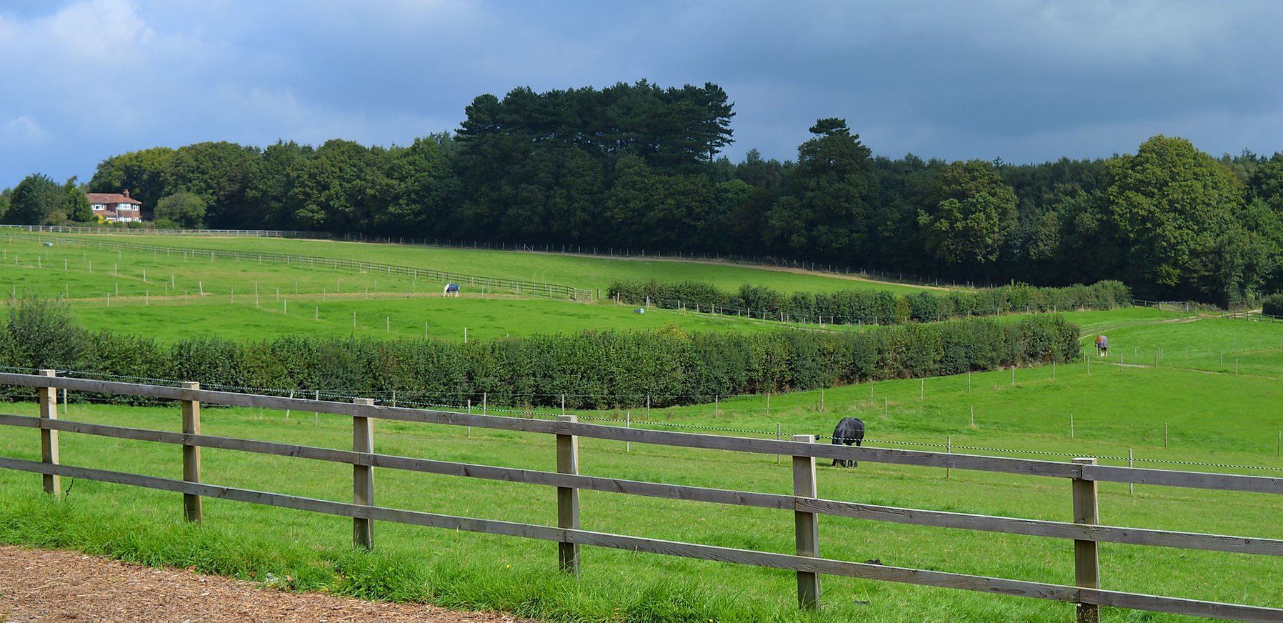 Swallows Oast Stables - LiveryList