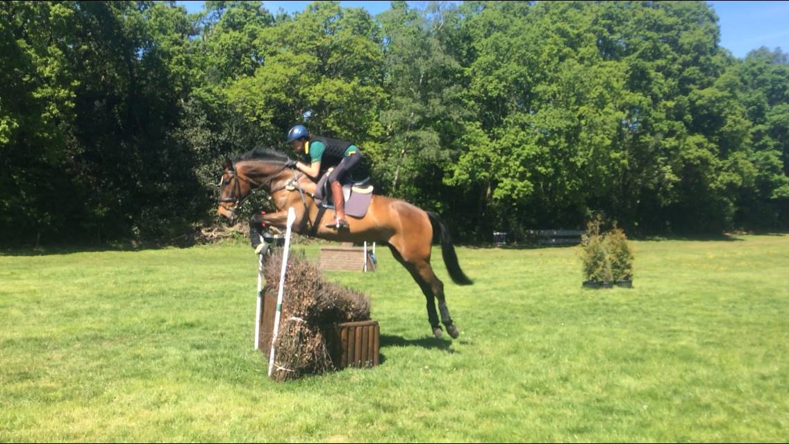 Woodcote Farm Liveries - LiveryList