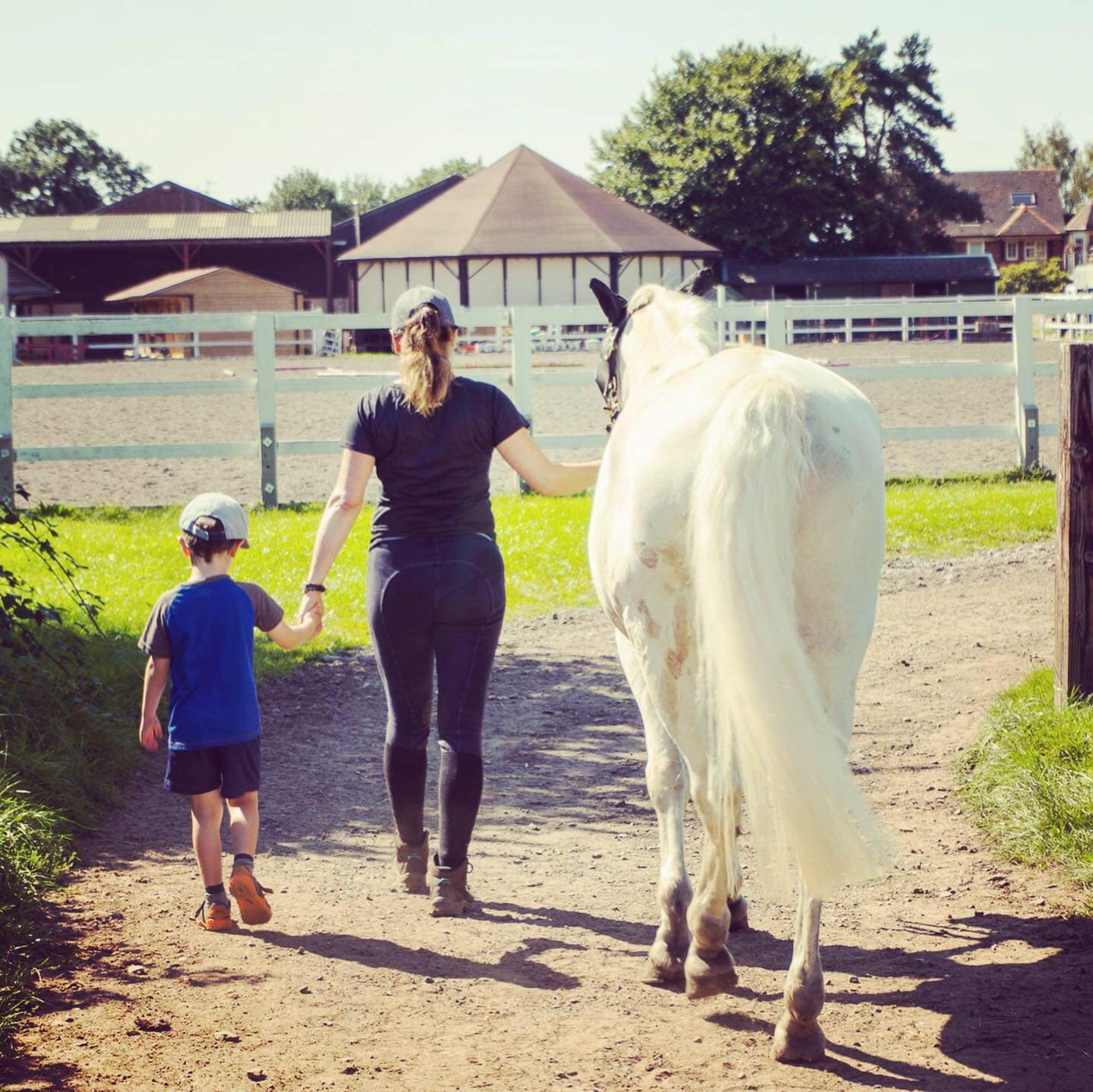 Wootton Grange Farm - LiveryList