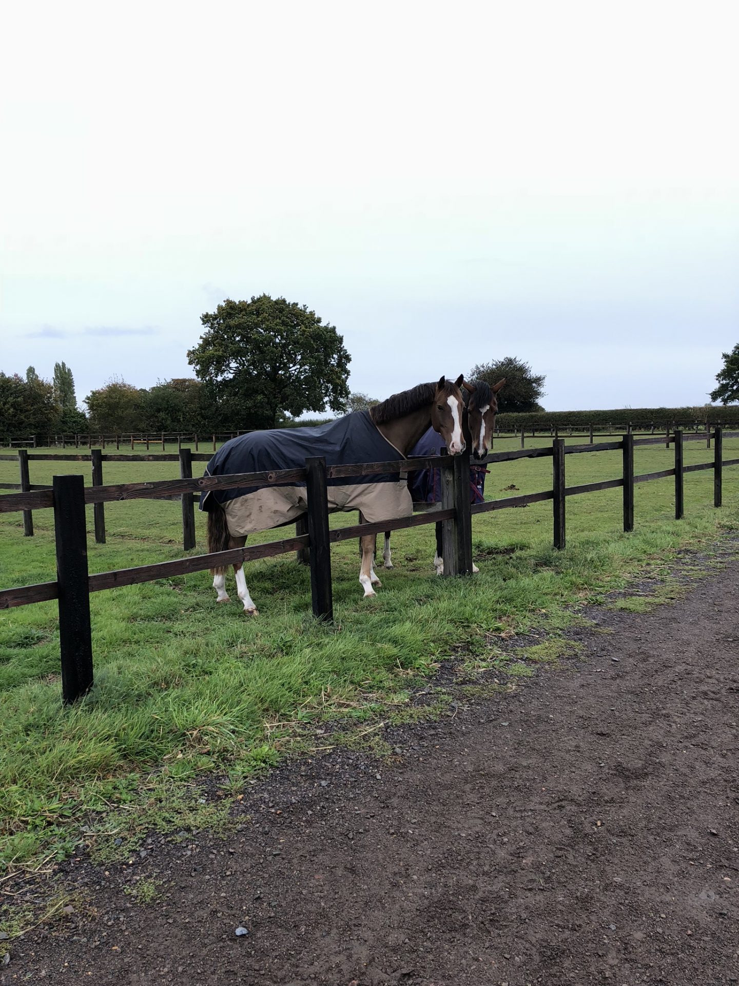 Wootton Grange Farm - LiveryList